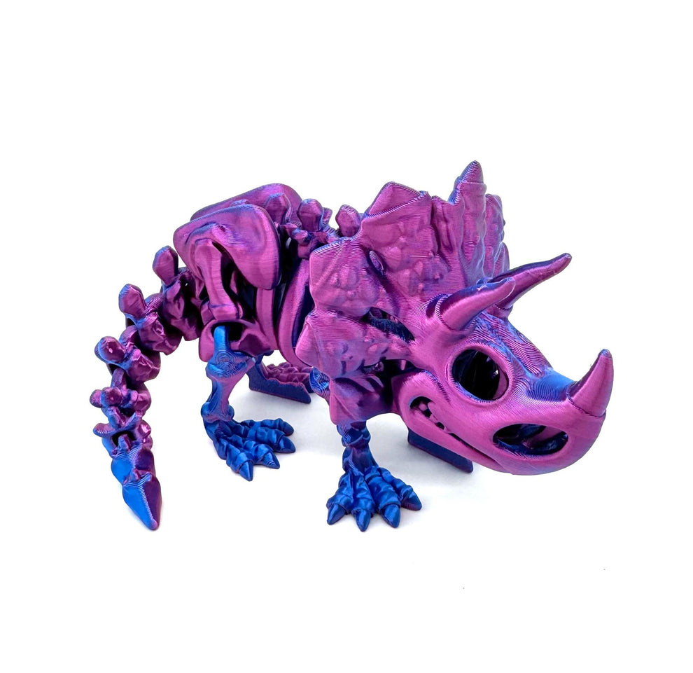Triceratops Skeleton – Bumpa Built